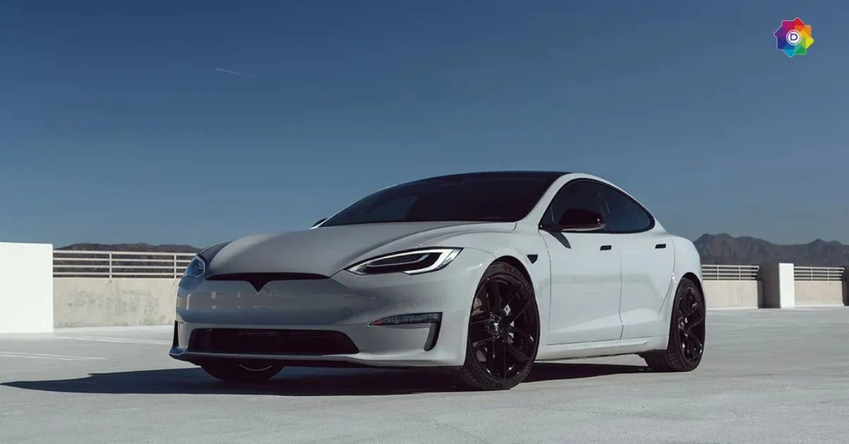 Best Car Wraps and Vehicle Detailing in VA, DC | Dynamax Wraps